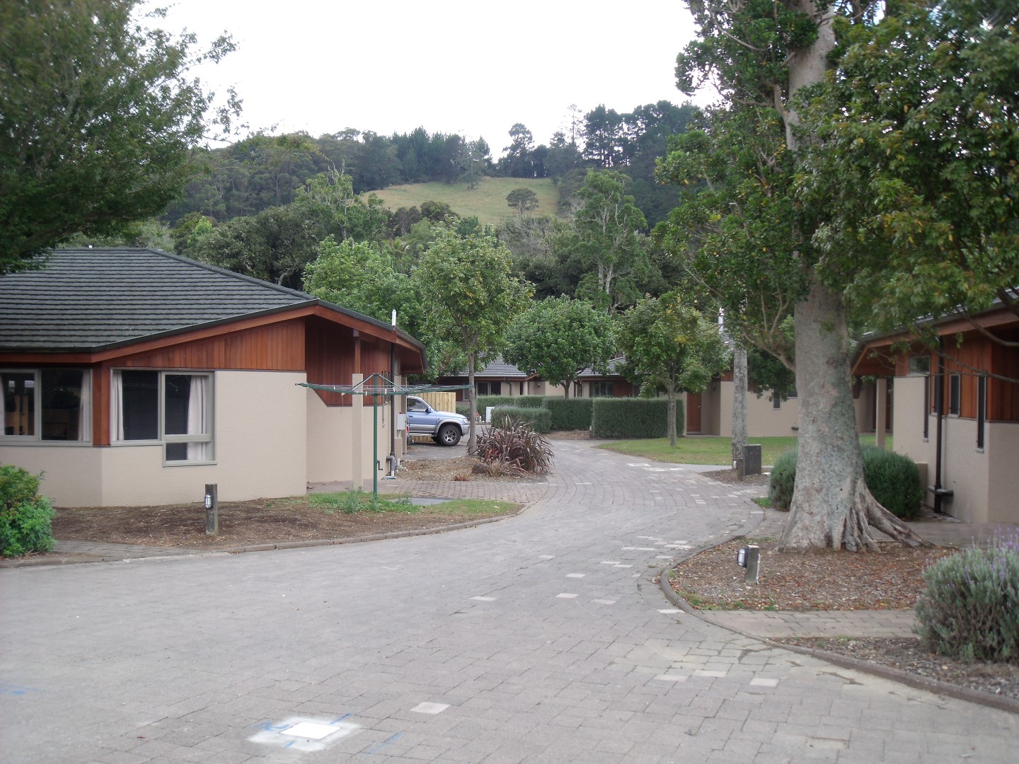 Dilworth Rural Campus - Argon